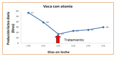 Uso de un animal fistulado en rumen, para resolver los problemas ...