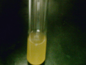 Determinación de coliformes totales y fecales en sistemas rurales de ...