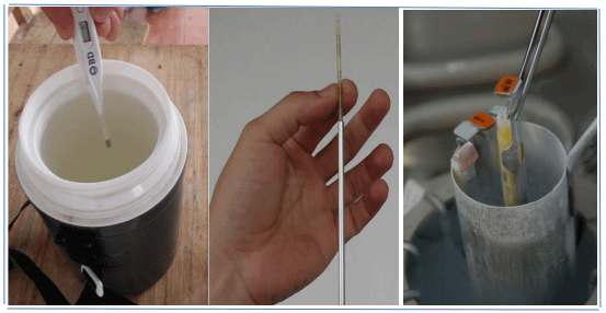 El uso de la técnica de inseminación artificial como pilar fundamental del mejoramiento genético ...