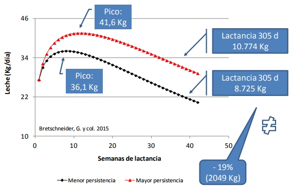 Lactancia Pico Y Persistencia Por Qué Cuidarlos Engormix