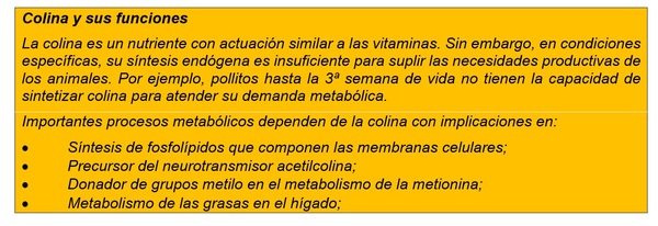 Suplementación con Colina Vegetal: ¿Realidad o Mito? | Engormix
