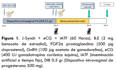 Utilización de un protocolo con proestro prolongado con y sin ECG en ...