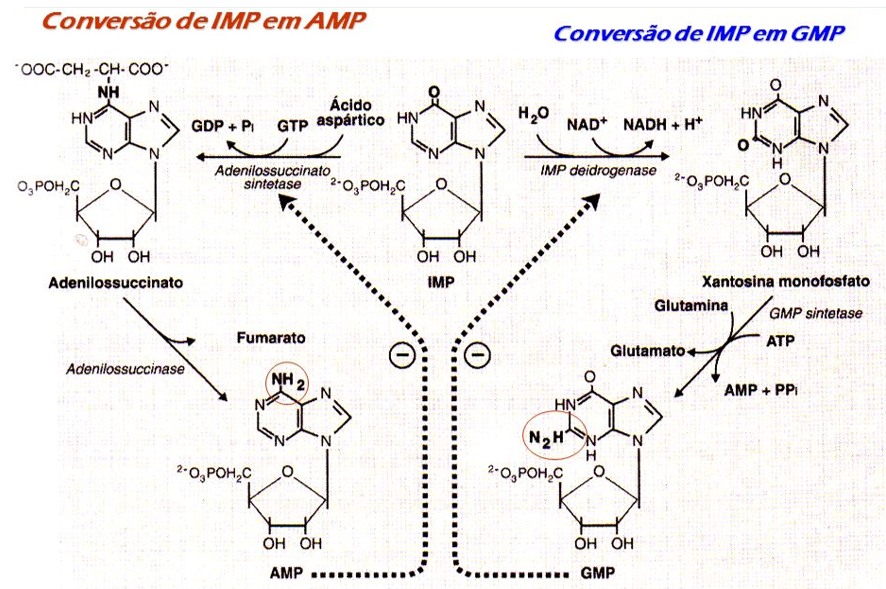 Inosina monofosfato: Nuevo Concepto de Energía en la Dieta de Pollos de ...