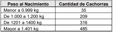 Impacto del peso al nacimiento de las cerdas y su permanencia dentro ...