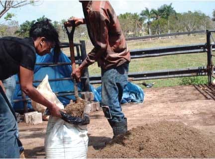 Como preparar un buen ensilaje | Engormix