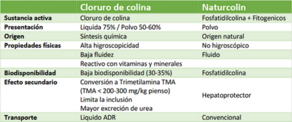 Uso de colina en nutrición de aves | Engormix