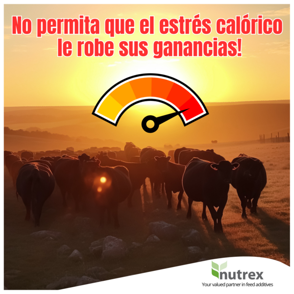 Afrontando el Estrés Calórico: Estrategias para el bienestar y el ...