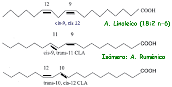 Inversión de sólidos en leche - Engormix