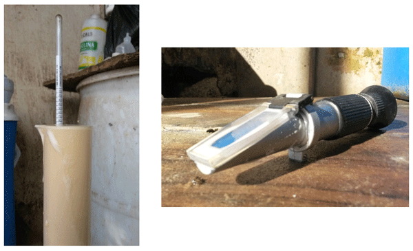 Evaluación en terreno de la calidad del calostro en vacas de lecherías ...