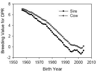 Dairy Cow Fertility through Genetics - Engormix