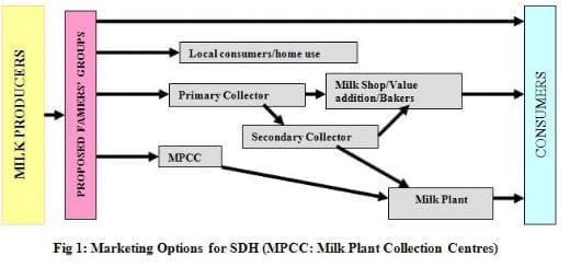Small Dairy Holder Milk Marketing Model: A case Study in Pakistan ...