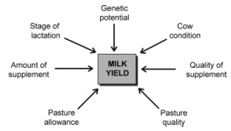 Forage utilization efficiency: an Australian perspective | Engormix