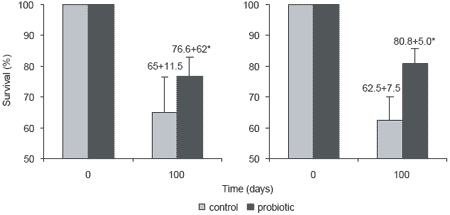 A Bacillus probiont for Black Tiger shrimp culture - Engormix
