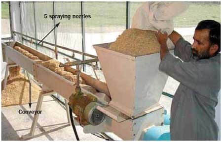 The most crucial period of a chick’s life - brooding | Engormix