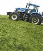 Silage Quality | Engormix
