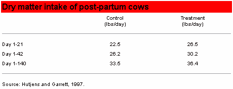 Use Yeast Culture to Feed the Rumen First | Engormix