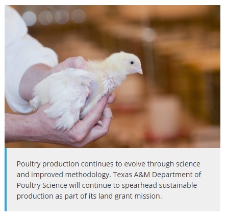 Texas A&M, industry partners usher in new era for Poultry Science ...