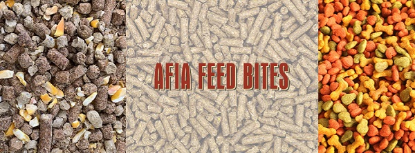 Innovation and Feed: How Animal Ag Can Reduce its Environmental ...