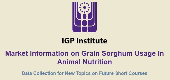 IGP Institute Survey: Market Information on Grain Sorghum Usage in ...