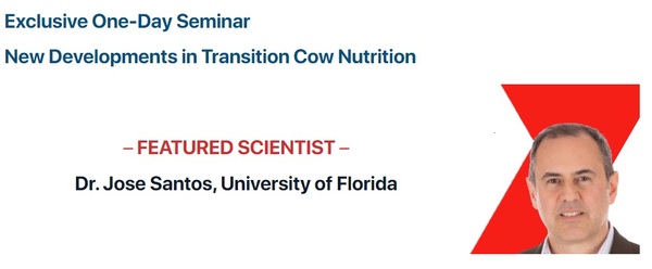 Transition Cow Nutrition Exclusive One Day Seminar Engormix