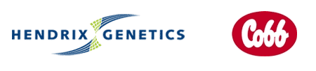 Cobb-Vantress and Hendrix Genetics: alliance to strengthen worldwide ...
