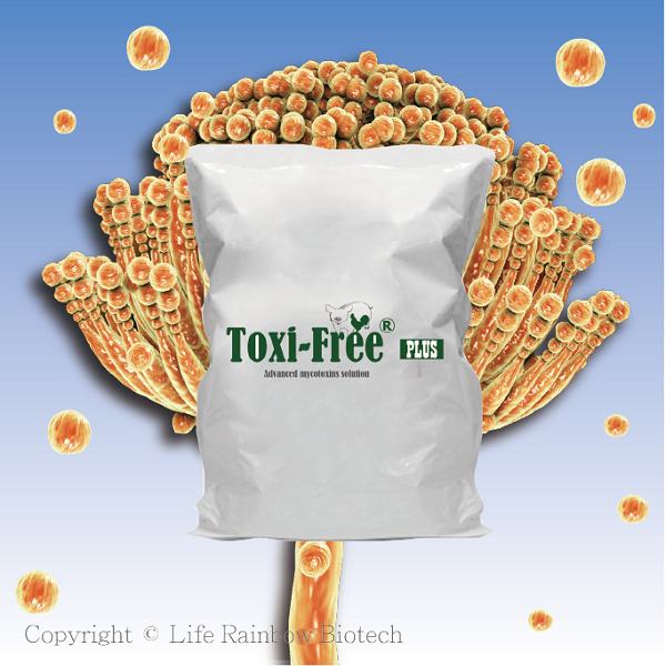 Toxi-Free® PLUS: Mycotoxin detoxifier