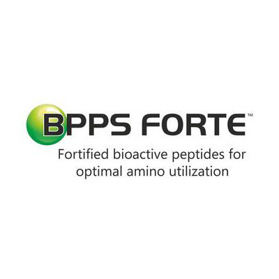 BPPS FORTE™ Nutraceutical feed supplement for use in poultry