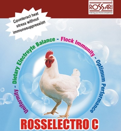 Rossari Biotech Limited: Products (38613)