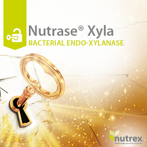 NUTREX: Products (4906)