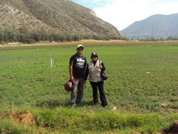 Supervisando la alfalfa | Engormix