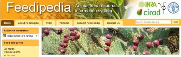 Feedipedia: una enciclopedia mundial des los ingredientes on-line ...