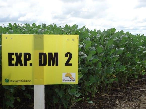 EXP. DM 2 | Engormix