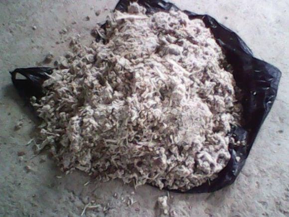 Yuca molida | Engormix