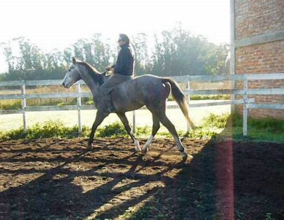 Amansamiento Natural | Engormix