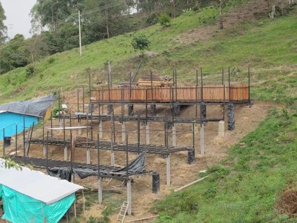 comienzo de la estructura bases | Engormix