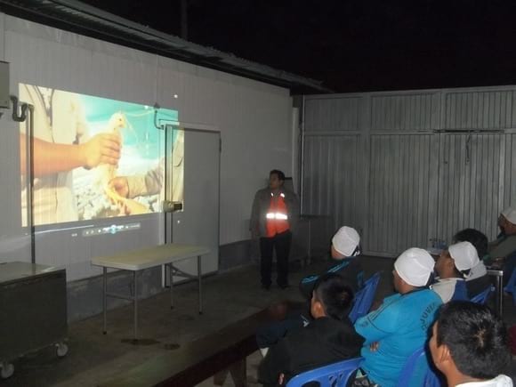 Charla en Camal de pollos | Engormix