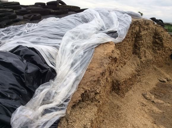 Corn silage bunker sealing | Engormix