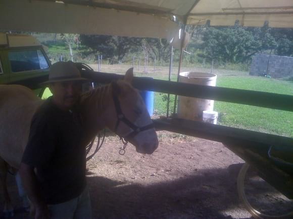 Rocinante y yo | Engormix