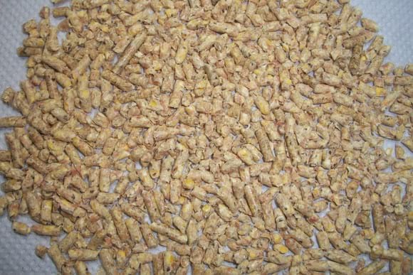 PELLET HOMINY FEED | Engormix