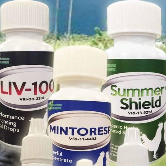 All-Natural Game fowl Foundation Supplements | Engormix