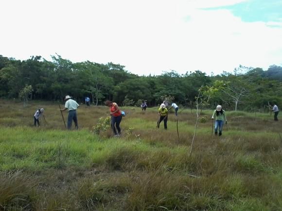 Capacitación a productores y productoras. Establecimiento de parcelas agro-pastoril. | Engormix