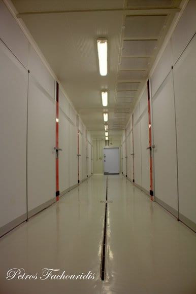 SETTER ROOM | Engormix