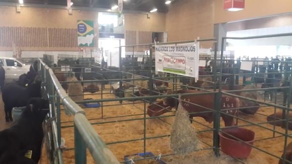 AGROEXPO 2015 | Engormix