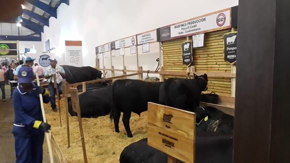 AGROEXPO 2015 | Engormix