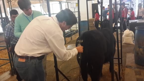 AGROEXPO 2015 | Engormix