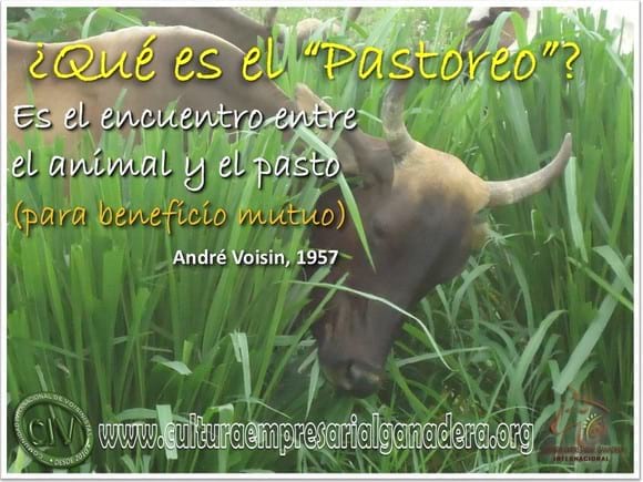 Infografía: ¿Que es el "Pastoreo"? | Engormix