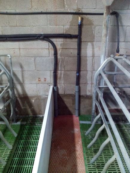 Calefacción Parideras | Engormix