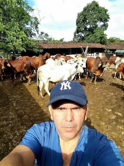 ganado de carne | Engormix