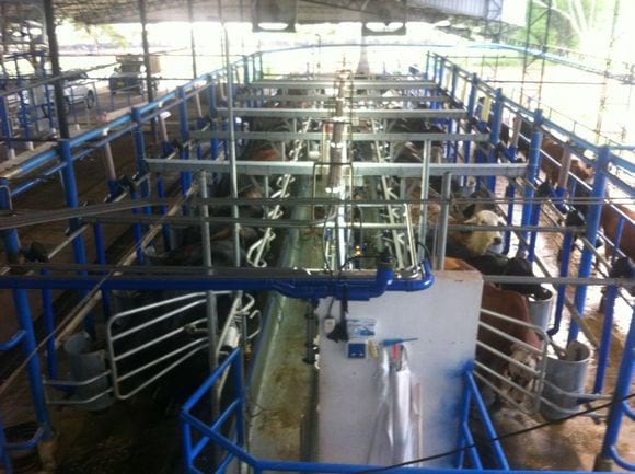 ordeño automatizado DeLaval tropico bajo | Engormix