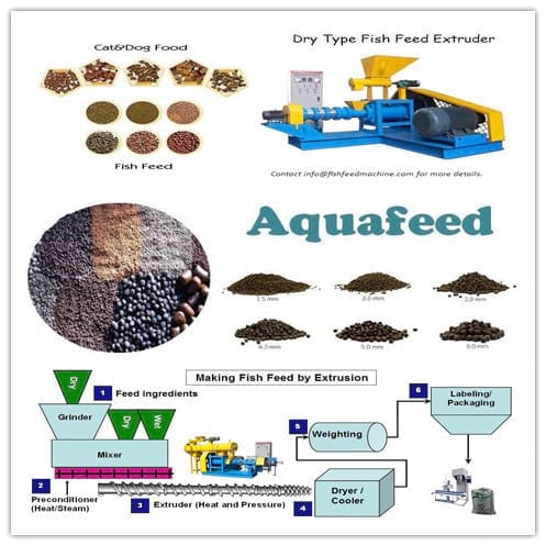 Fish feed extrusion process | Engormix